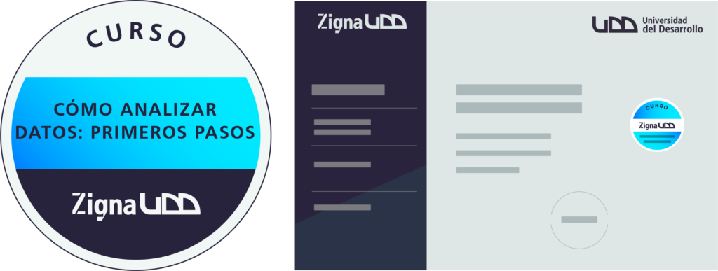 Cómo Analizar Datos: Primeros Pasos – ZignaUDD