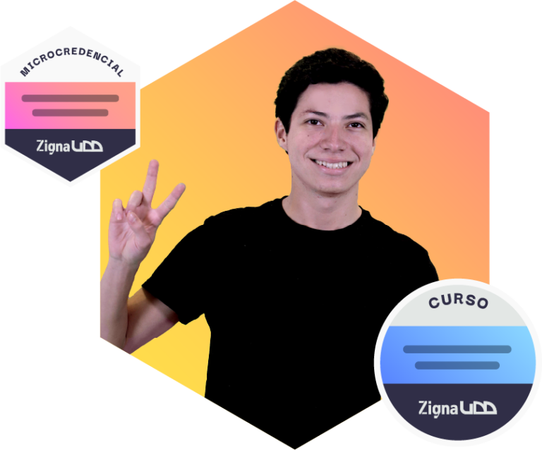 Inscripción correcta – ZignaUDD