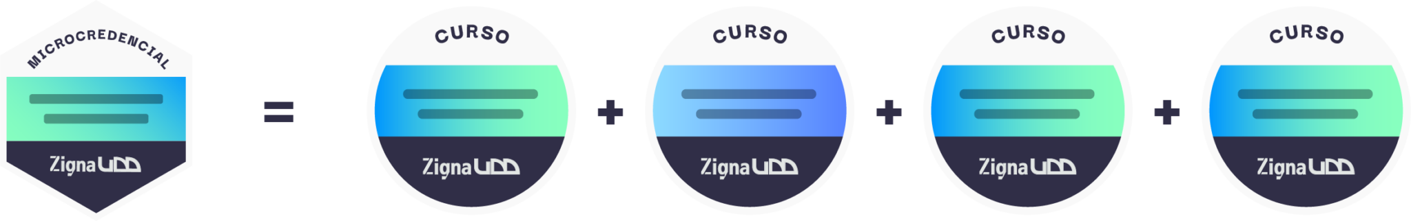 Programa – ZignaUDD