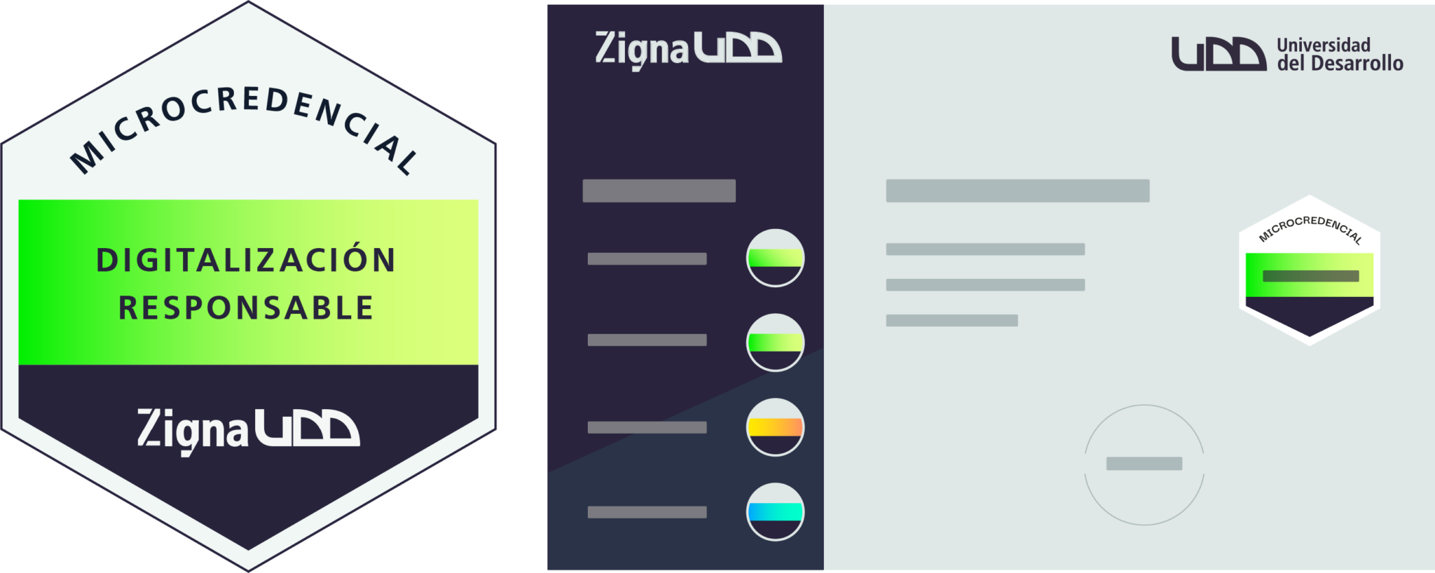 Digitalización Responsable – ZignaUDD